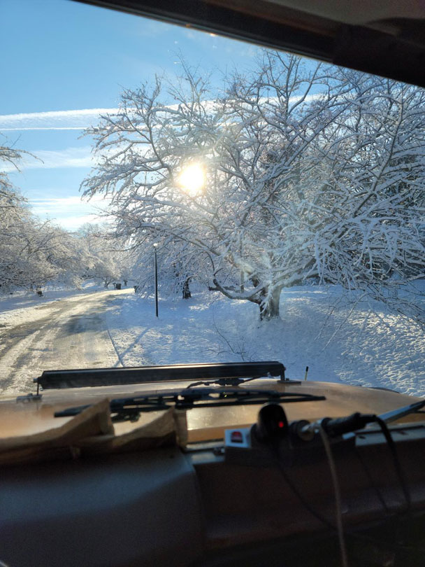 Services - Edelen Tree Experts